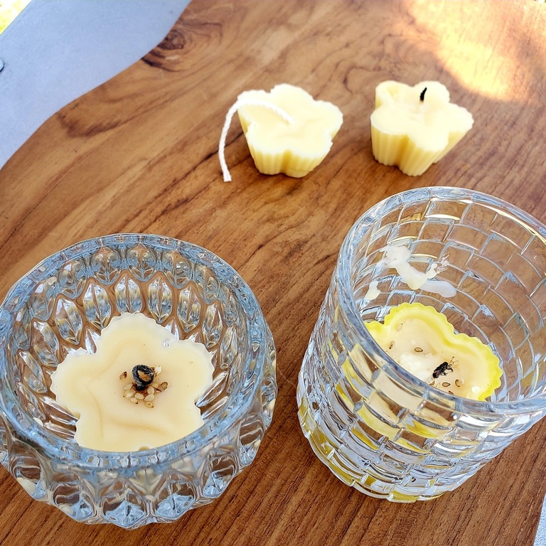 やった！レポ | WILD MIND GO! GO!